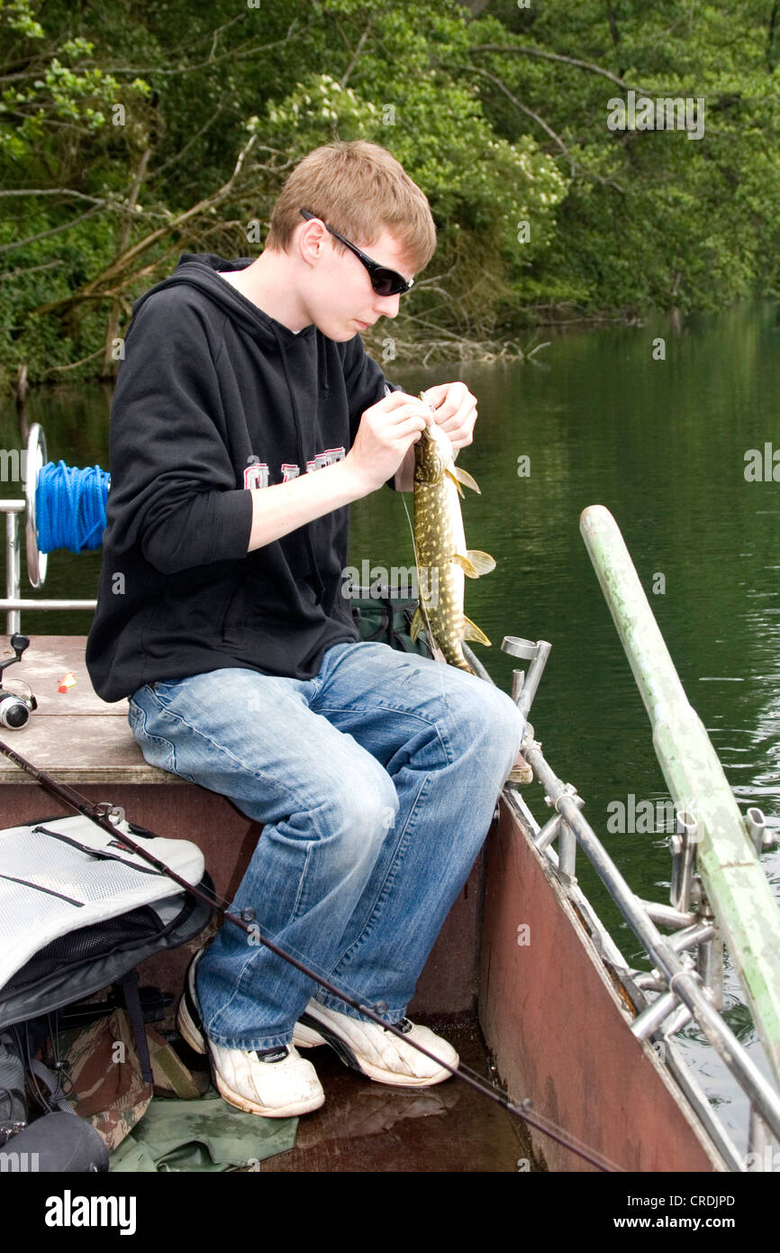 pike, northern pike (Esox lucius), boy with young pike, Germany ...