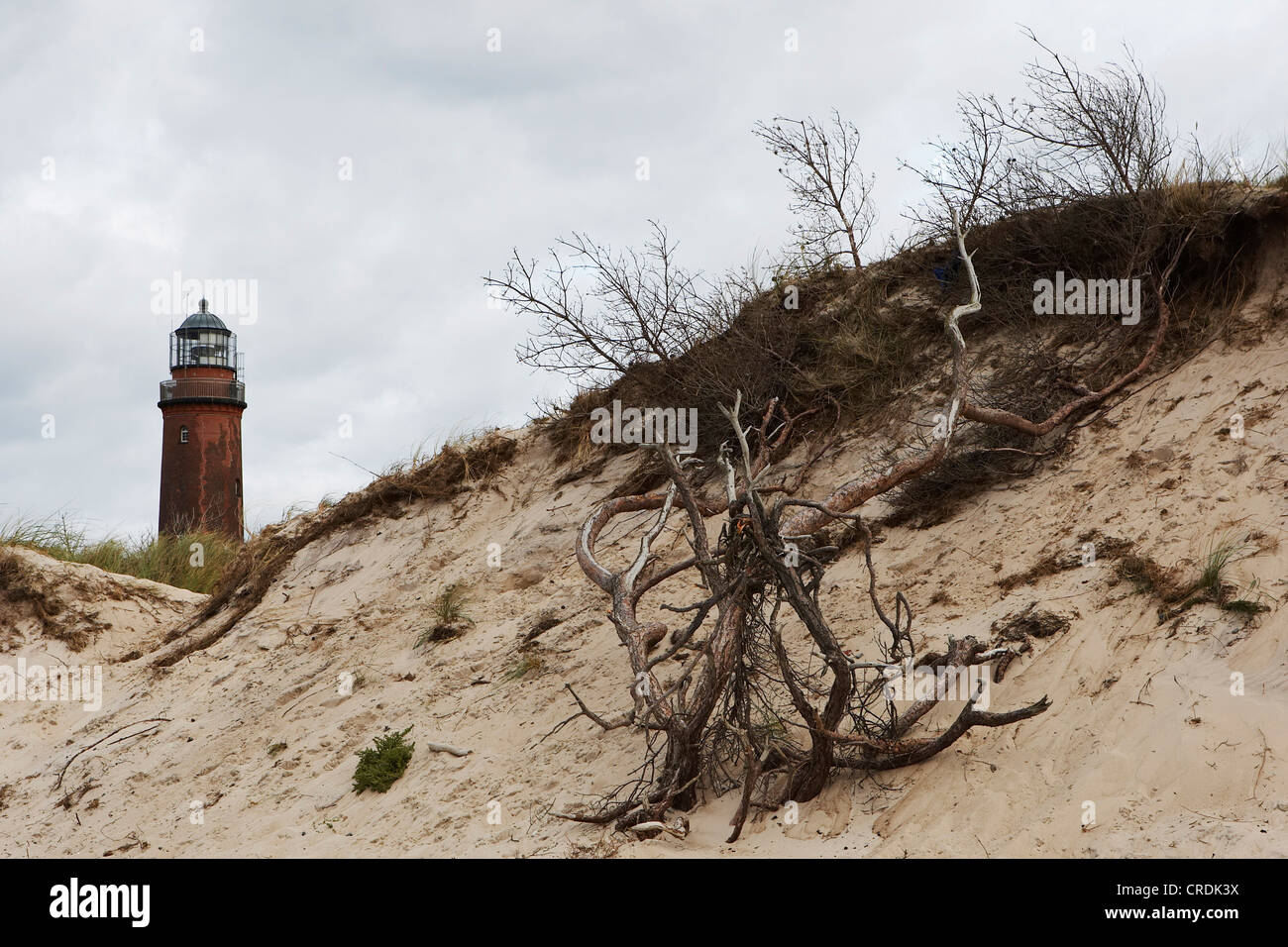 lighthouse Darss, Germany, Zingst Stock Photo - Alamy