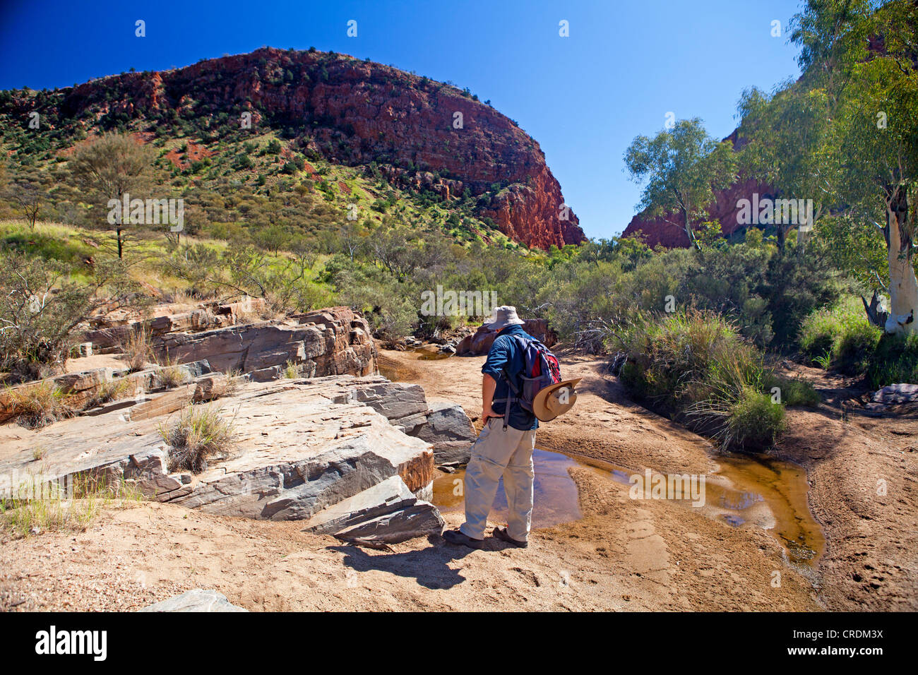 Bushwalker near the entrance to Simpsons Gap in the West MacDonnell ...