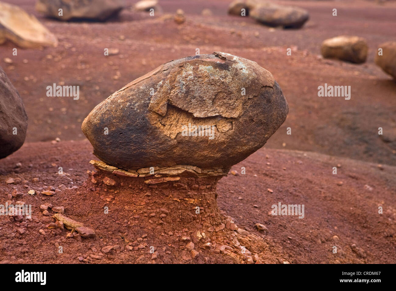 Desquamation hi-res stock photography and images - Alamy