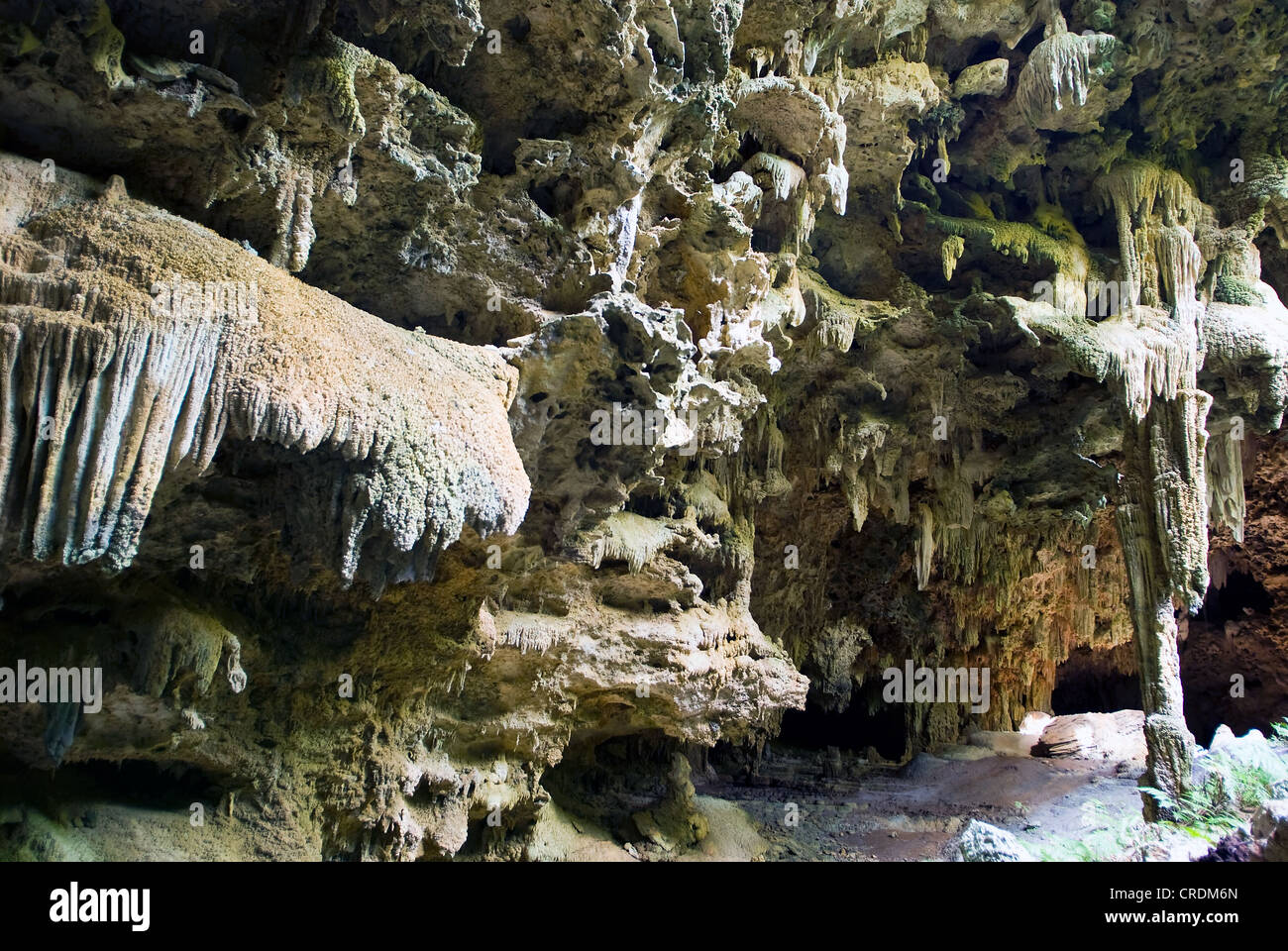 Anatakitaki Cave Atiu Cook Islands Stock Photo - Alamy