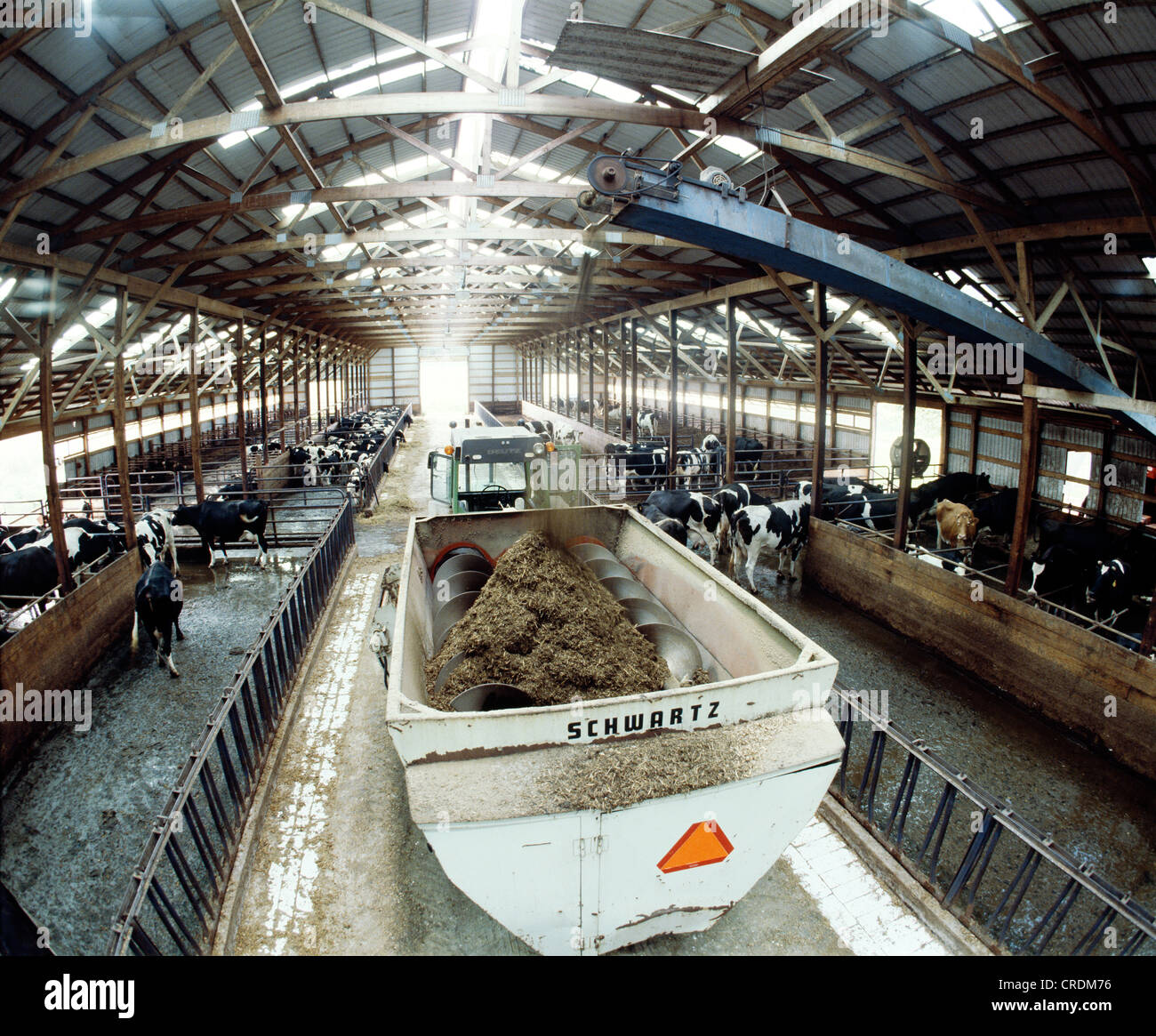 Feed mixer wagon hi-res stock photography and images - Alamy