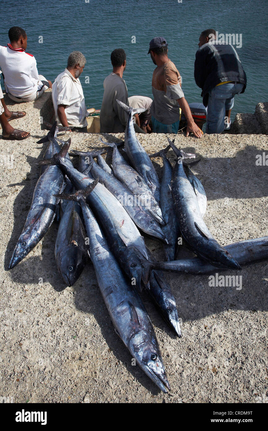 Harbour mindelo cap verde islands hi-res stock photography and images ...