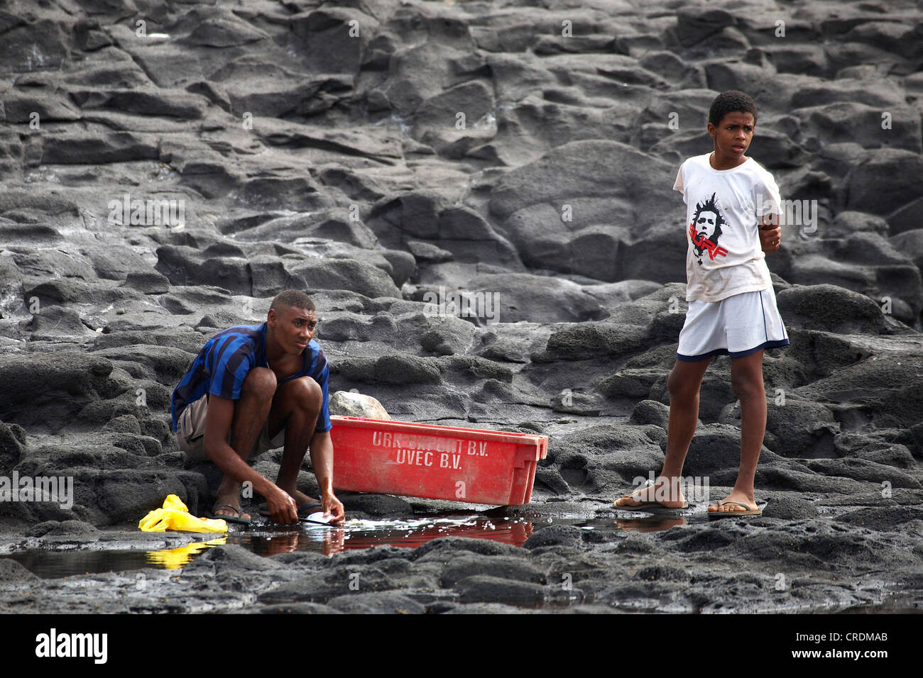 natives disembowel fishes after fishing at the harbour, Cap Verde ...