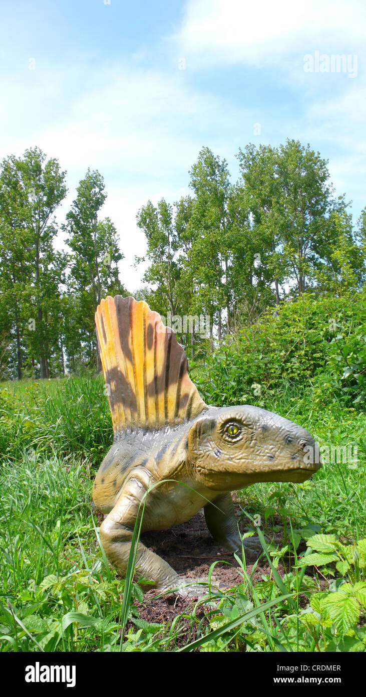 Edaphosaurus (Edaphosaurus), mammal like reptile, on of the first ...
