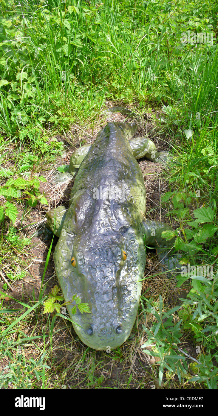 Eryops (eryops) hi-res stock photography and images - Alamy