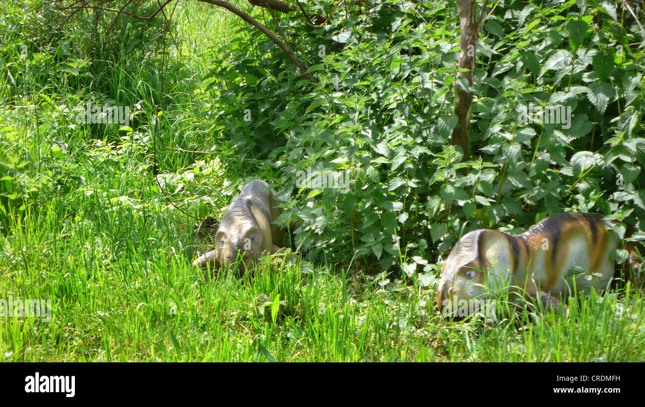 Dicynodon dicynodon hi-res stock photography and images - Alamy
