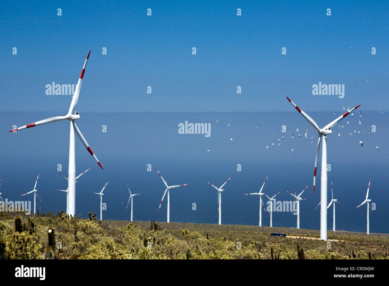18 megawatt wind turbine hi-res stock photography and images - Alamy