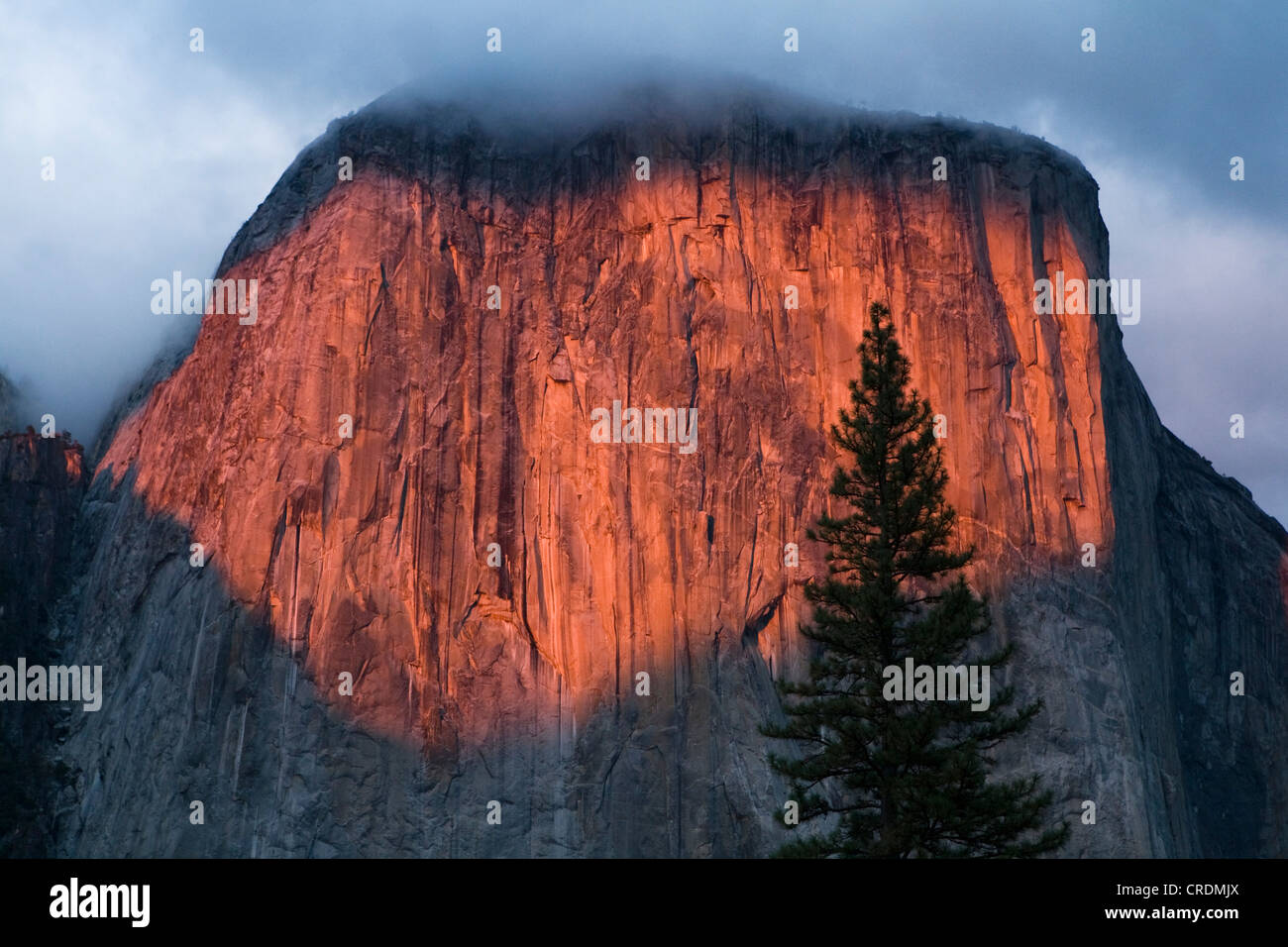 El Capitan, granite monolith with cliffs up to 1000m, at sunset ...