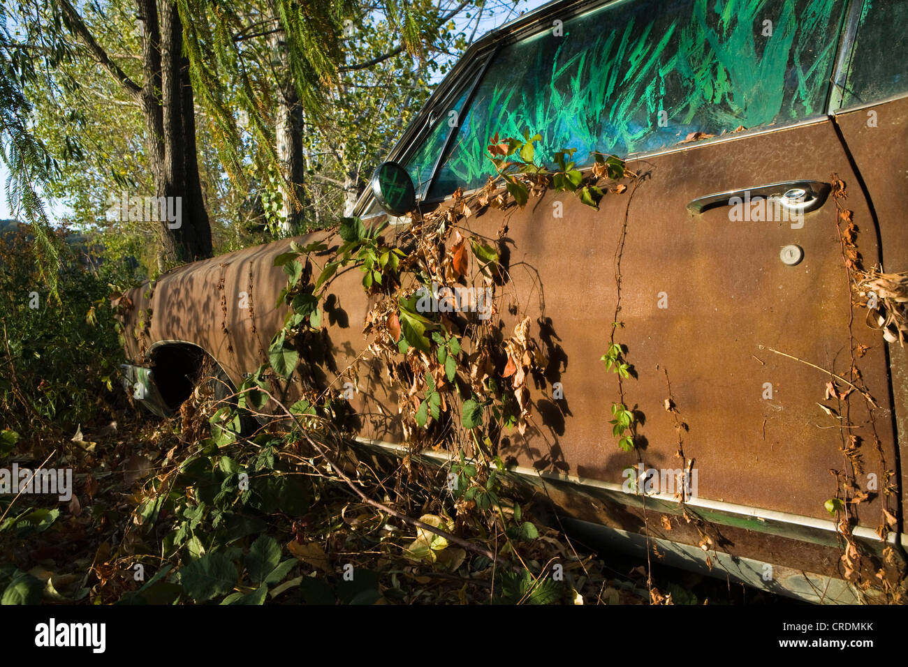 Rusty old vehicles hi-res stock photography and images - Alamy