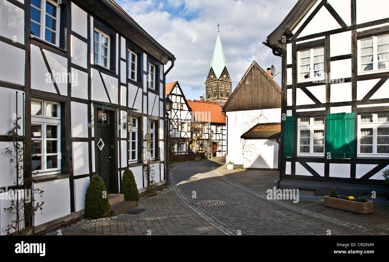 Herten westerholt hi-res stock photography and images - Alamy