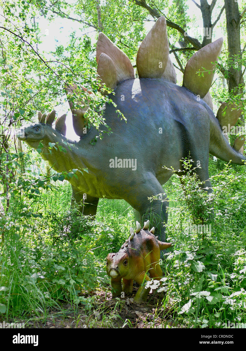 Stegosaurus hi-res stock photography and images - Alamy