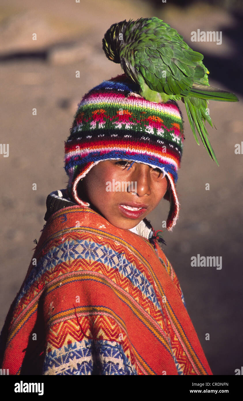 Boy with parrot hi-res stock photography and images - Alamy