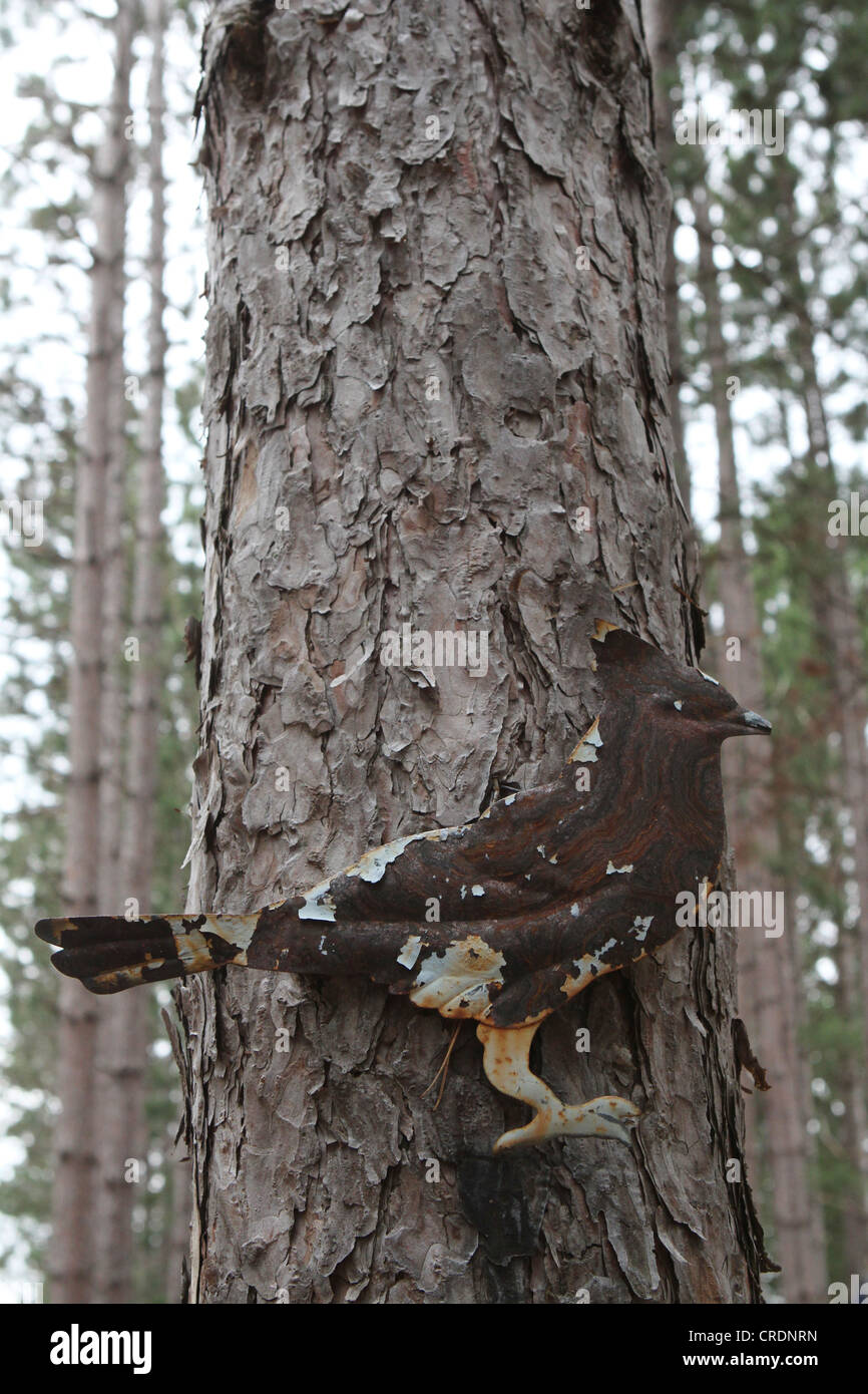 The Tin Forest High Resolution Stock Photography and Images - Alamy