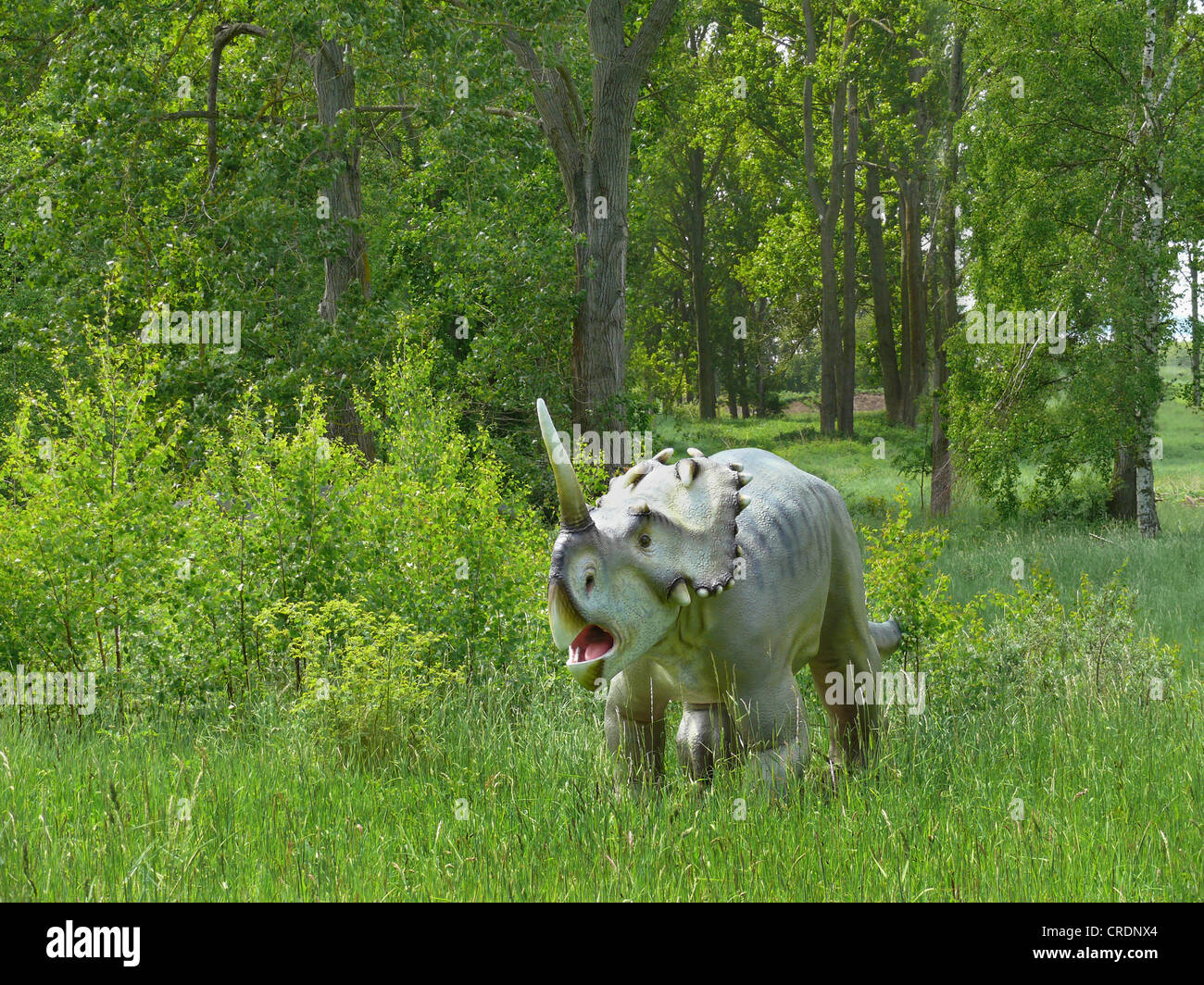 Well-horned Lizard (Centrosaurus), attacking Stock Photo - Alamy