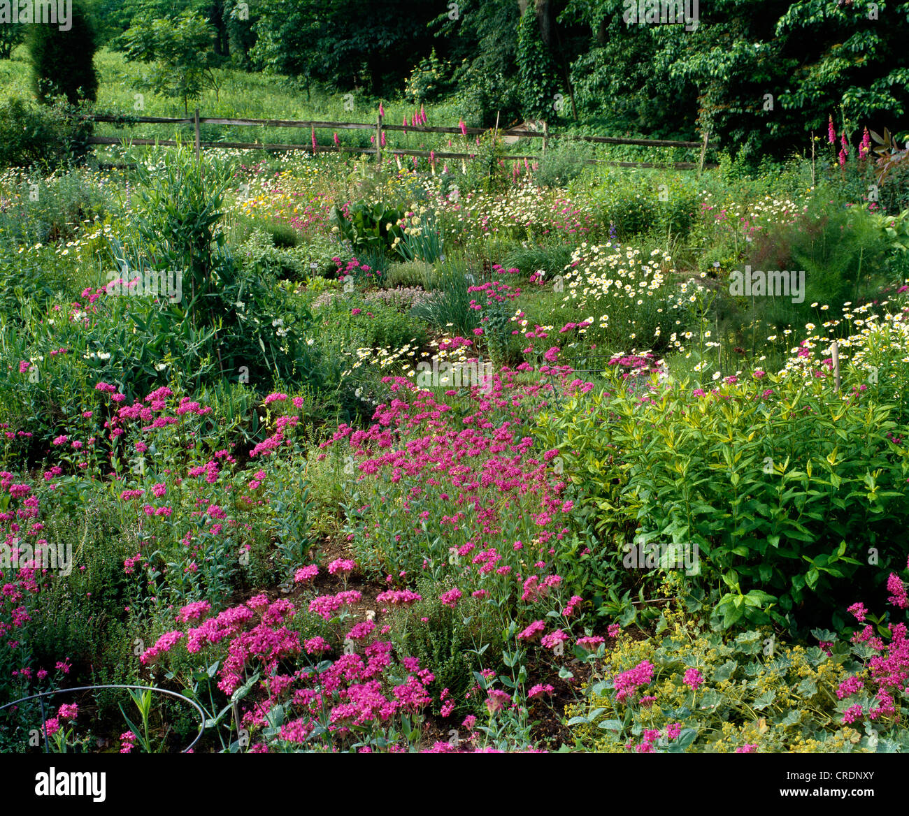 Longview farm hi-res stock photography and images - Alamy
