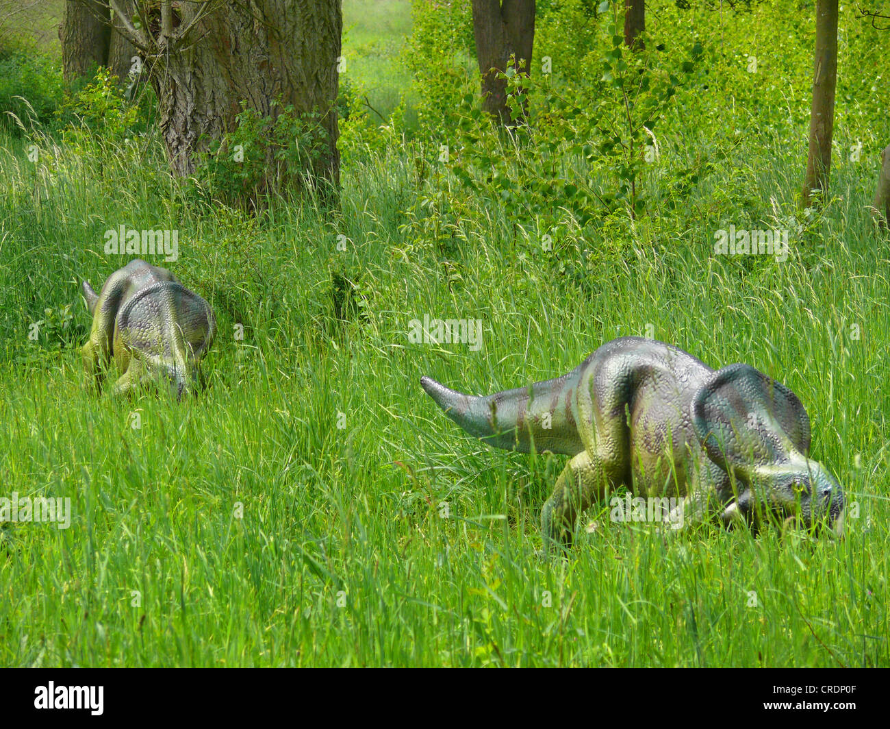 Protoceratops hi-res stock photography and images - Alamy