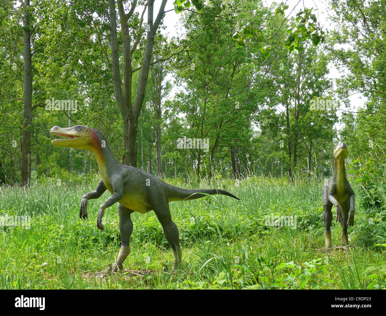 Velociraptor hi-res stock photography and images - Alamy