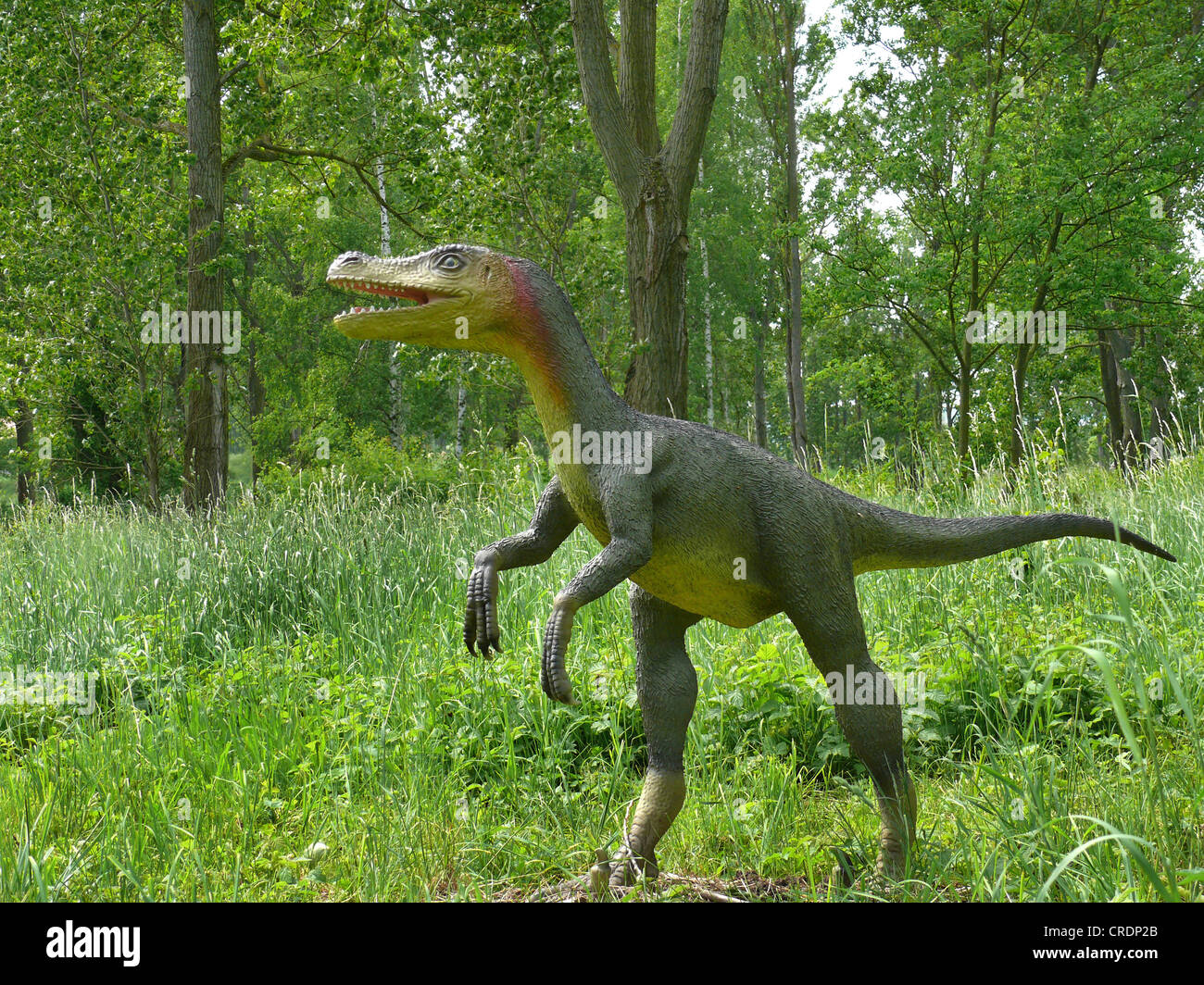 Dinosaur dinosaurs velociraptor cretaceous hi-res stock photography and ...