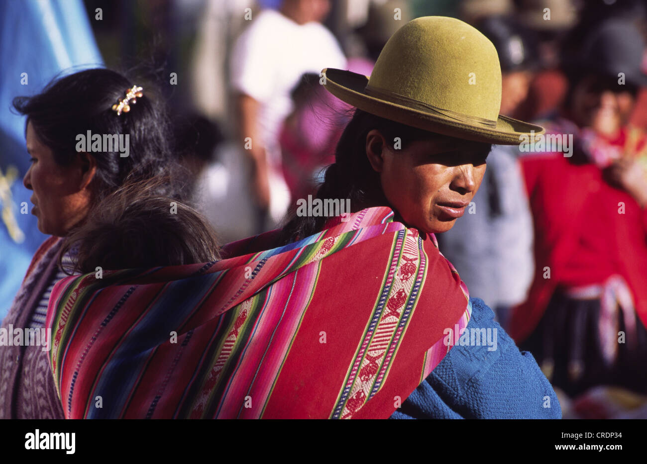 Native american woman with braided hair hi-res stock photography and ...