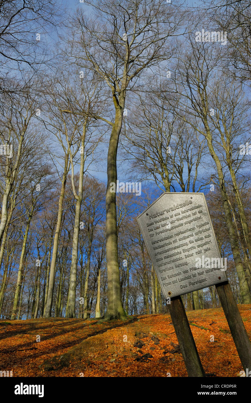 Nature reserve germany hi-res stock photography and images - Alamy