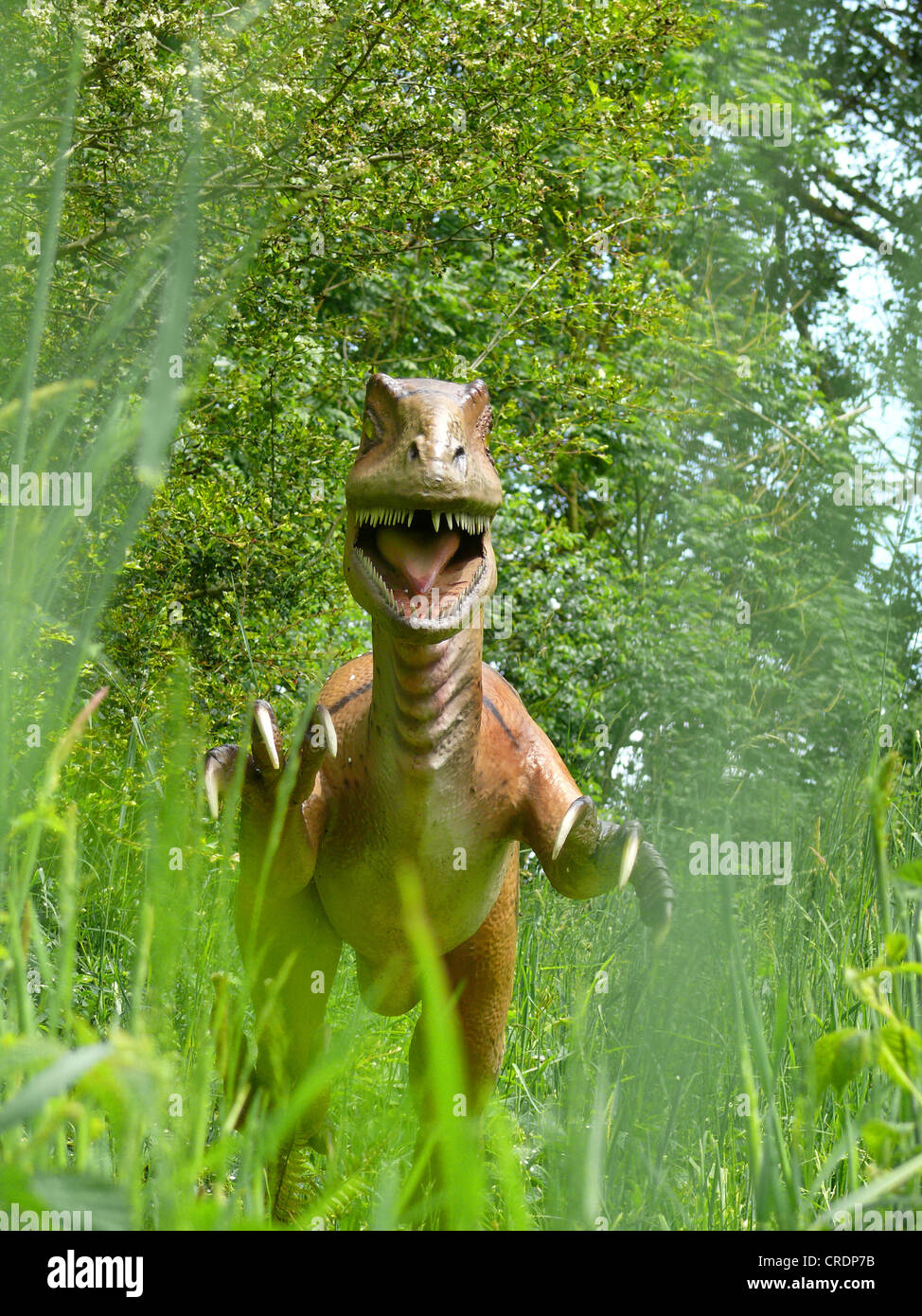 Terrible claw (Deinonychus), threatening Stock Photo - Alamy