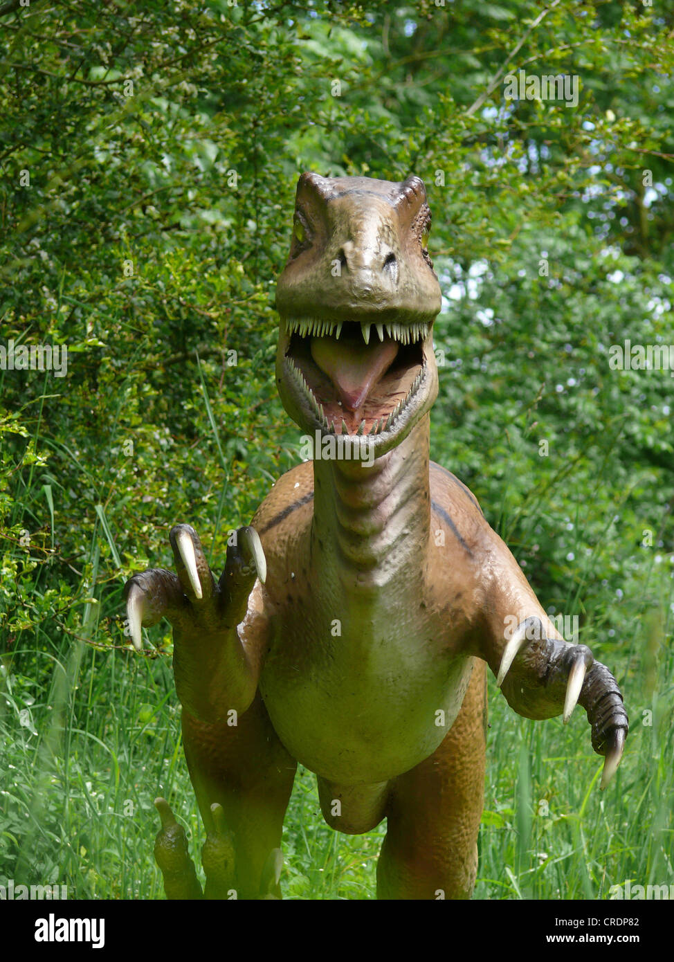 Terrible claw (Deinonychus), threatening Stock Photo - Alamy