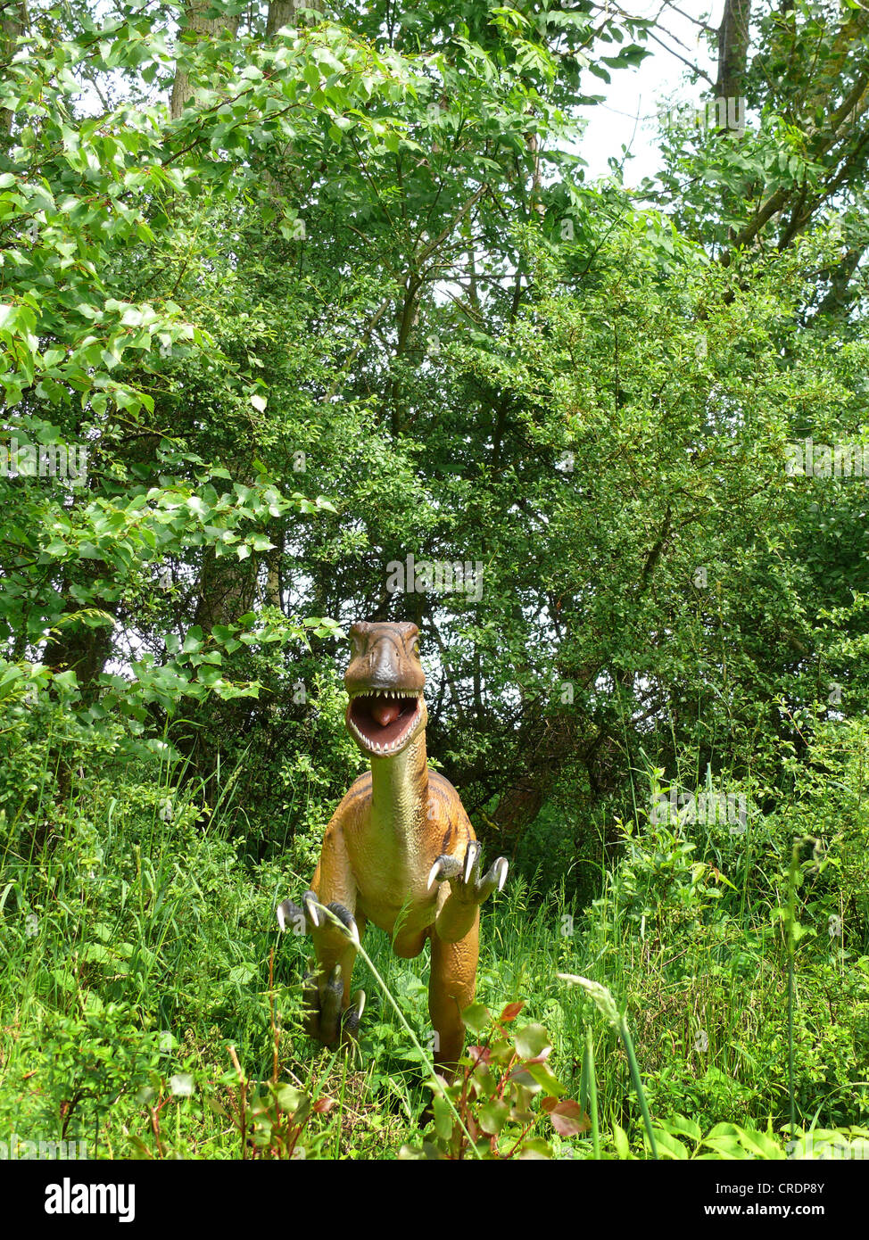 Terrible claw (Deinonychus), threatening Stock Photo - Alamy