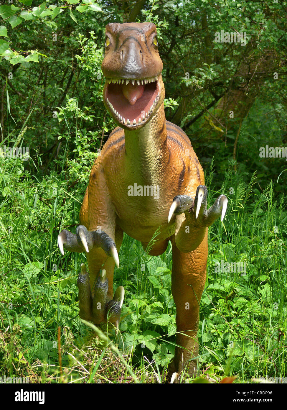 Terrible claw (Deinonychus), threatening Stock Photo - Alamy