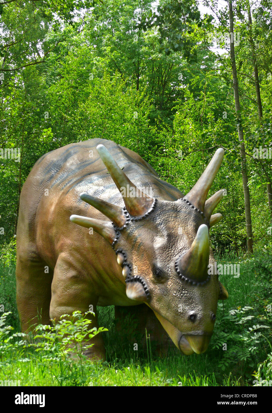 Styracosaurus (Styracosaurus), standing on a clearing Stock Photo - Alamy
