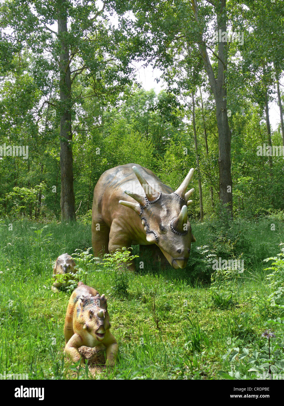 Styracosaurus (Styracosaurus), on a clearing with juveniles Stock Photo ...