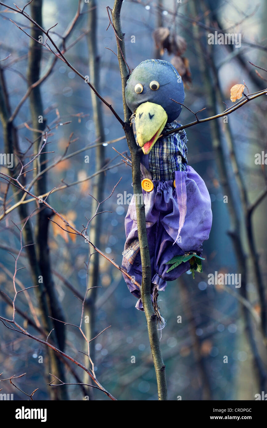 Raven hanging hi-res stock photography and images - Alamy