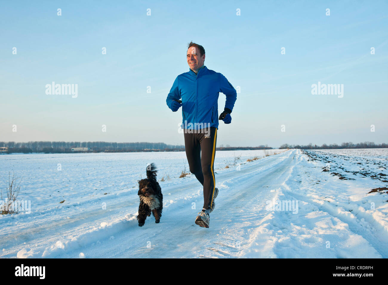 Man jogging with dog in snow Stock Photo - Alamy