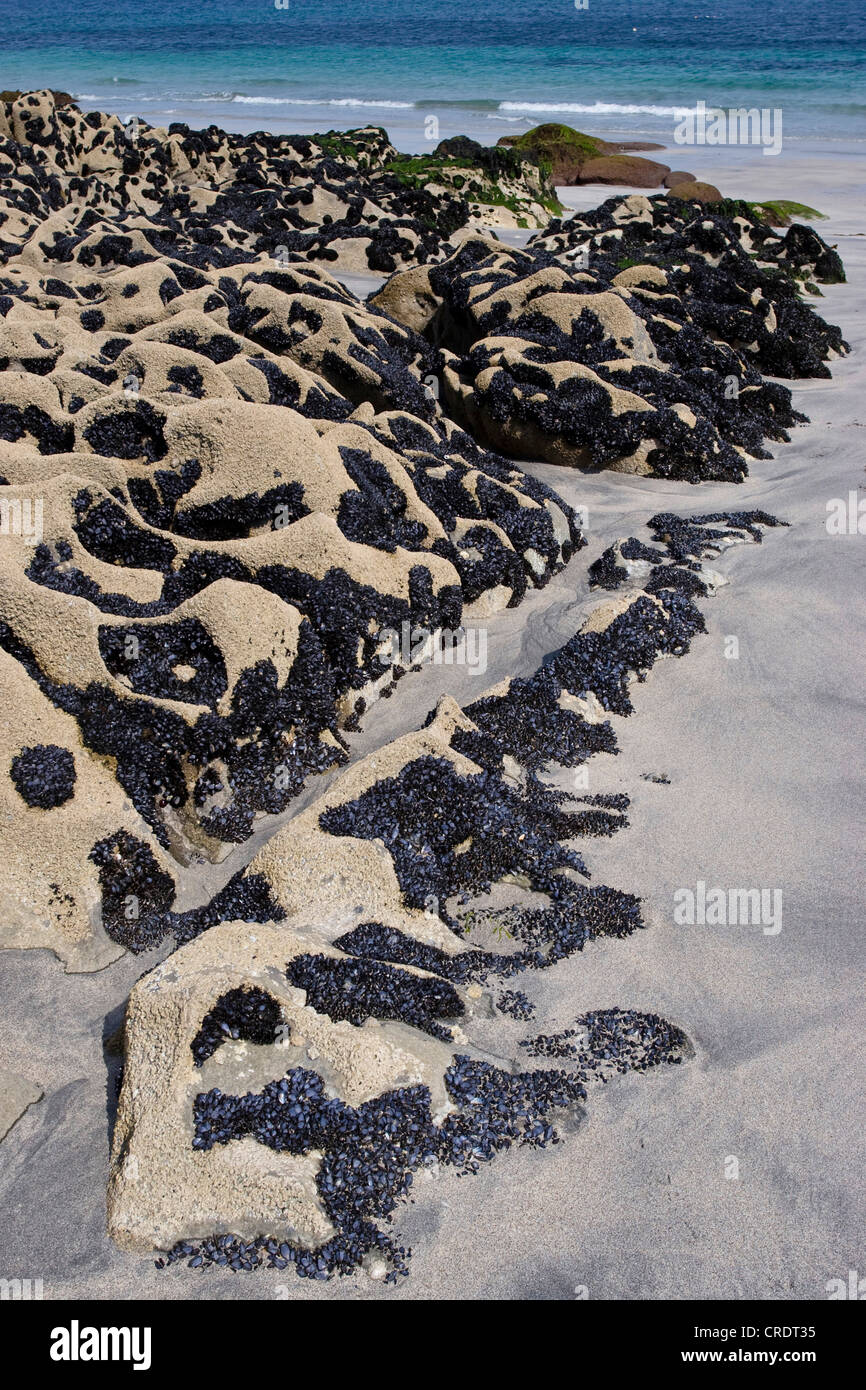 intertidal zone at the coast of The Atlantic Sea on Inisheer; Aran ...