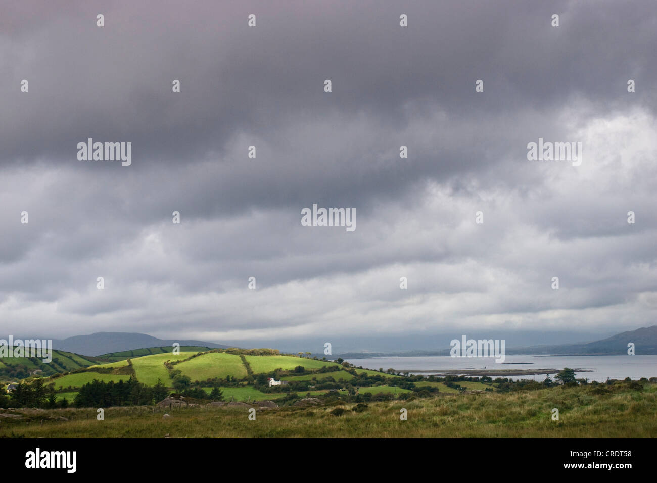 sunny hill at foggy weather, Ireland, Cork, Beara-Halbinsel Stock Photo ...