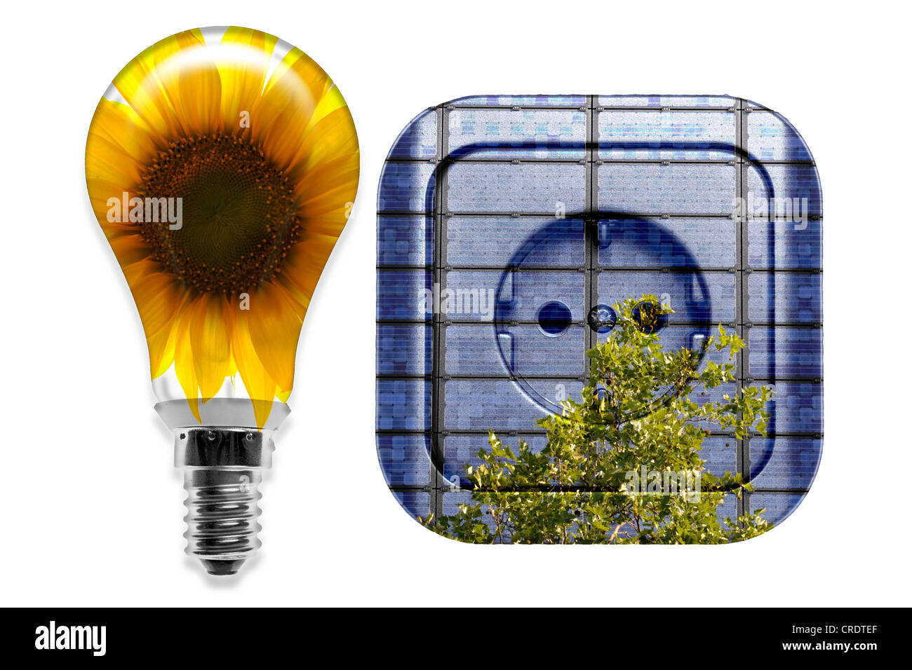 Illustration, socket and a light bulb, symbolic image for solar power ...