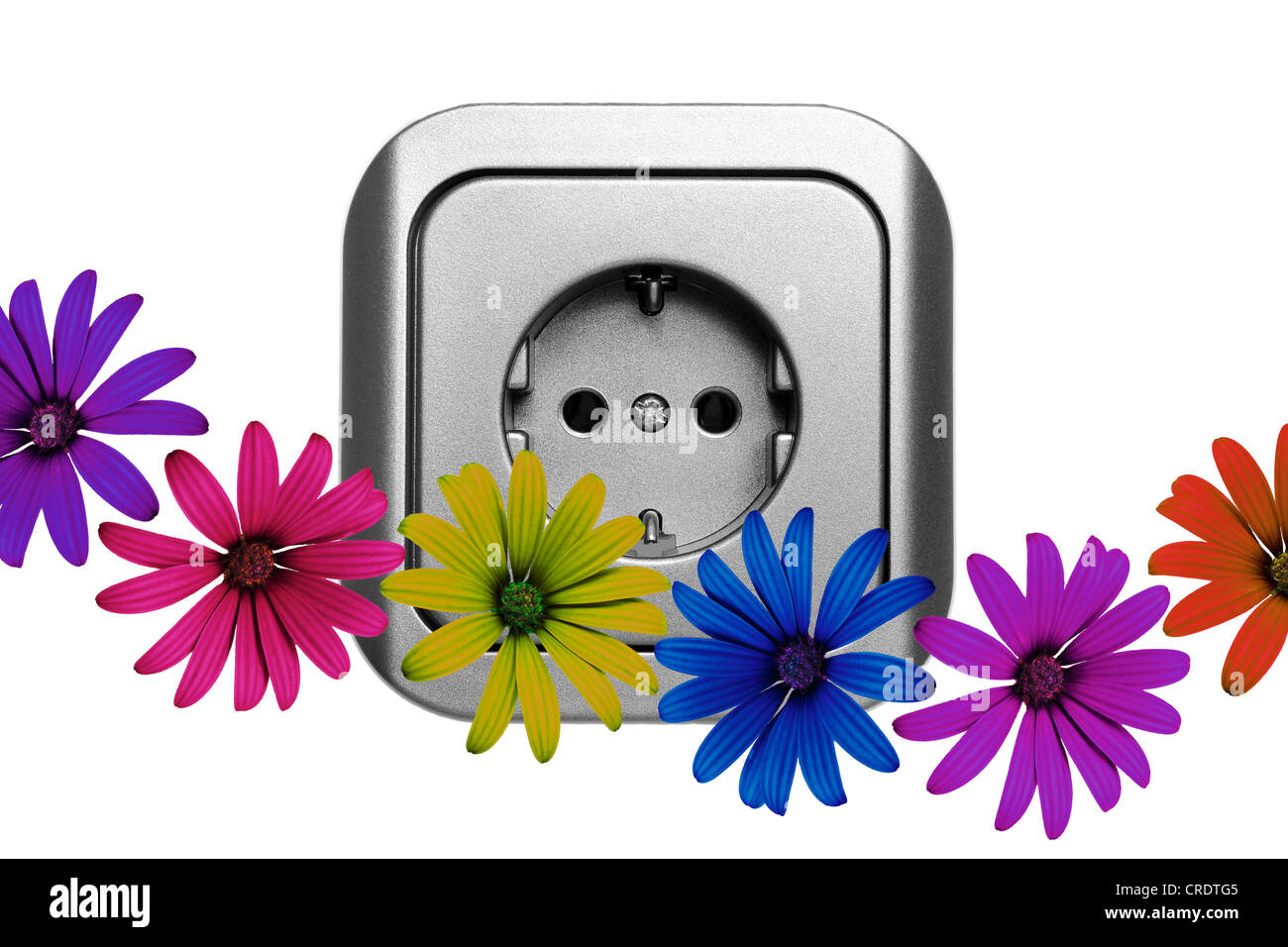 Illustration, socket and flowers Stock Photo - Alamy