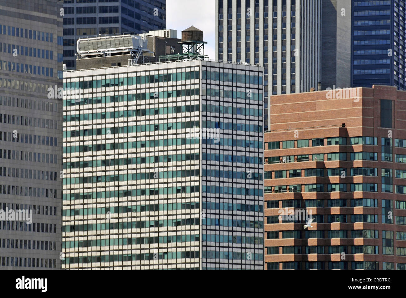 High-rise buildings, Financial District, Manhattan, New York City, USA ...