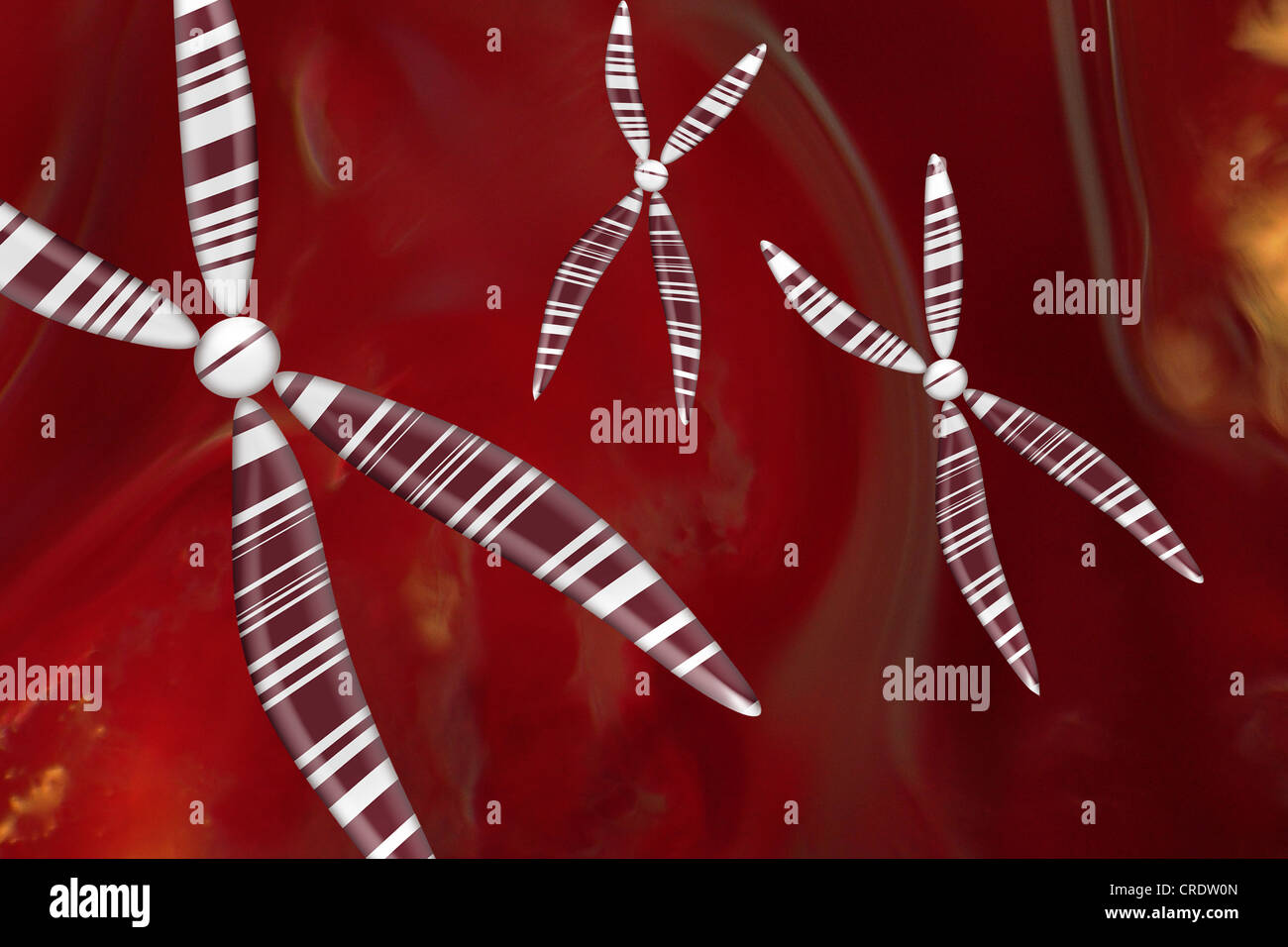 Chromosomes hi-res stock photography and images - Alamy Chromosomes hi-res stock photography and images - Alamy