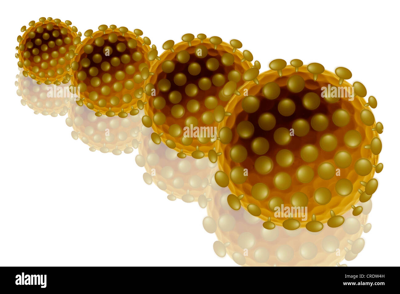 Dangerous viruses hi-res stock photography and images - Alamy