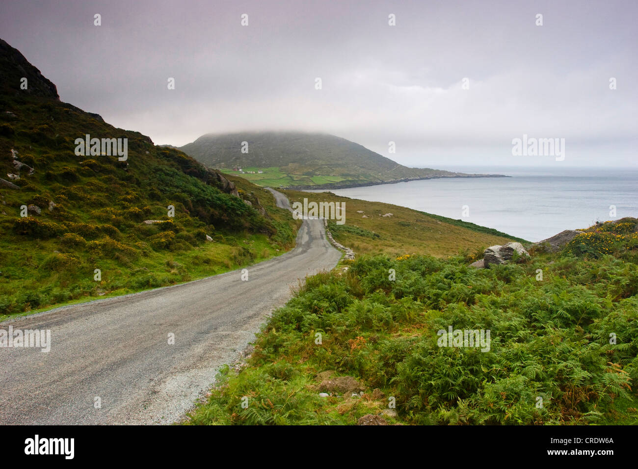 landscape at the Ring of Beara, Ireland, Cork, Beara-Halbinsel Stock ...