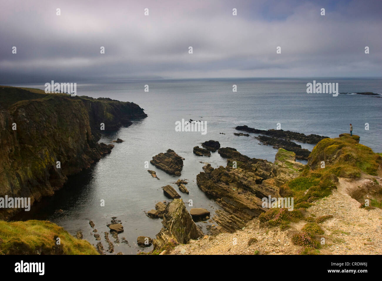 landscape at the Ring of Beara, Ireland, Cork, Beara-Halbinsel Stock ...