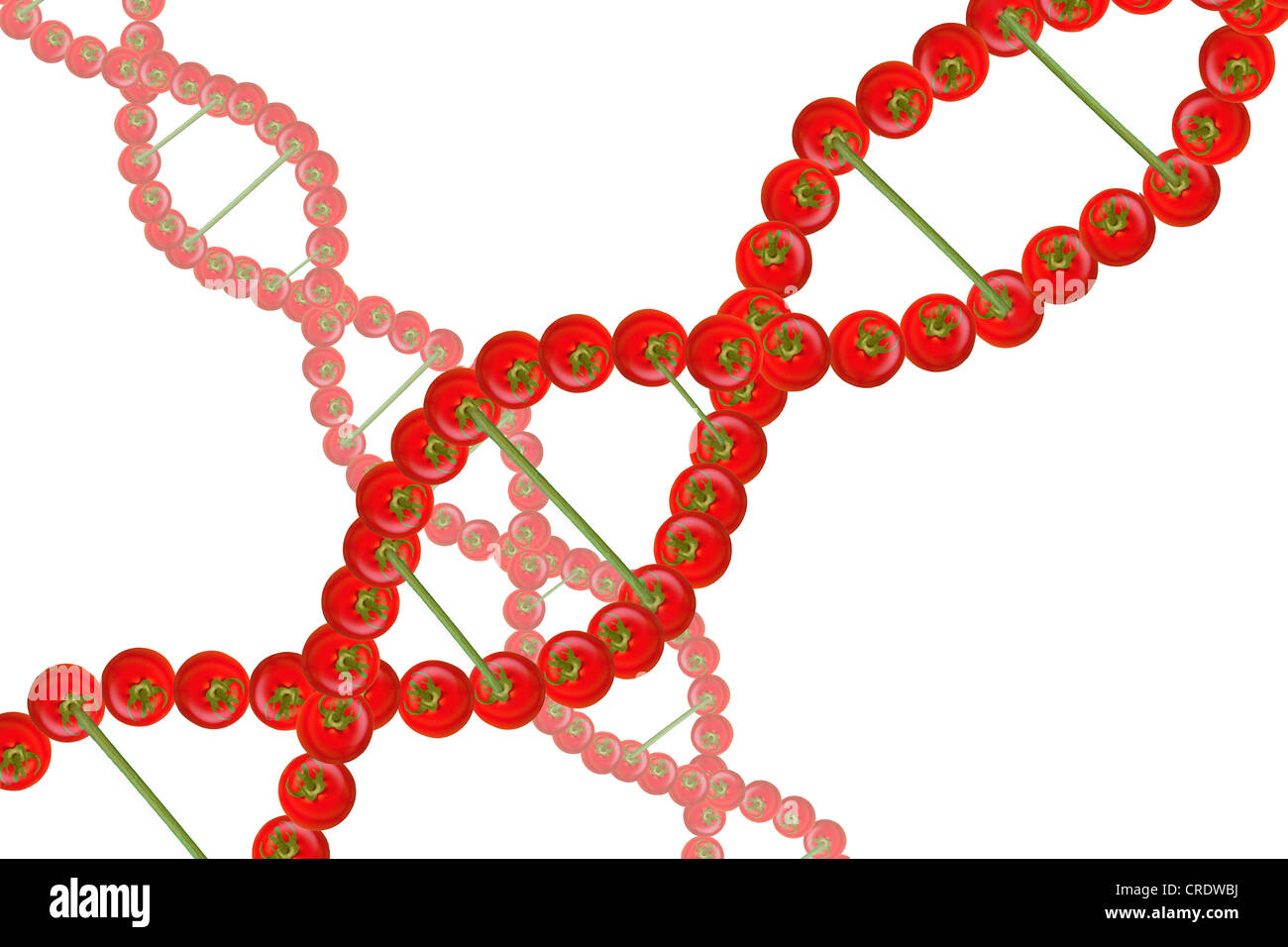 Dna strands hi-res stock photography and images - Alamy