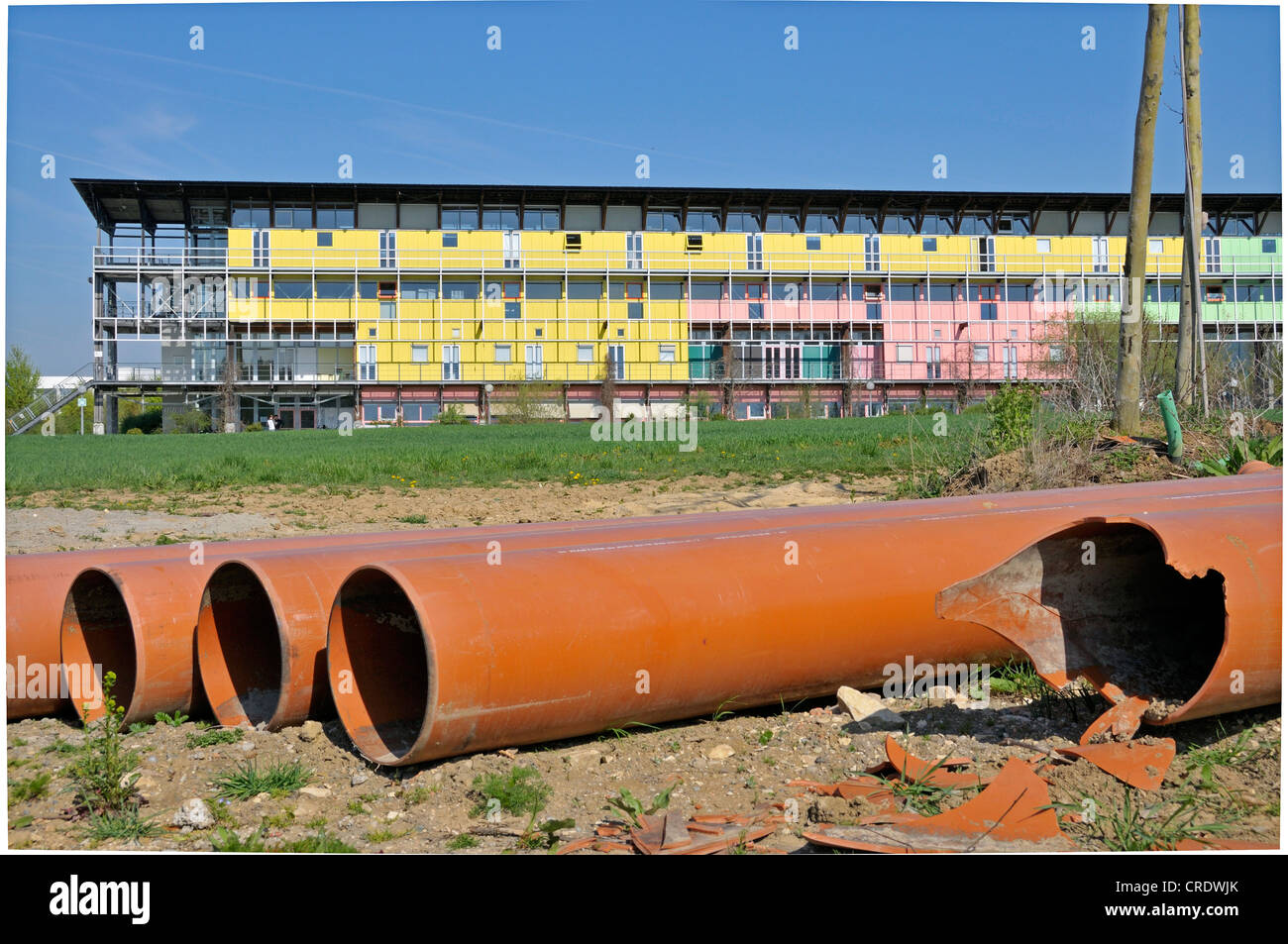 Wood skeleton construction on stilts, University of Ulm, Engineering ...