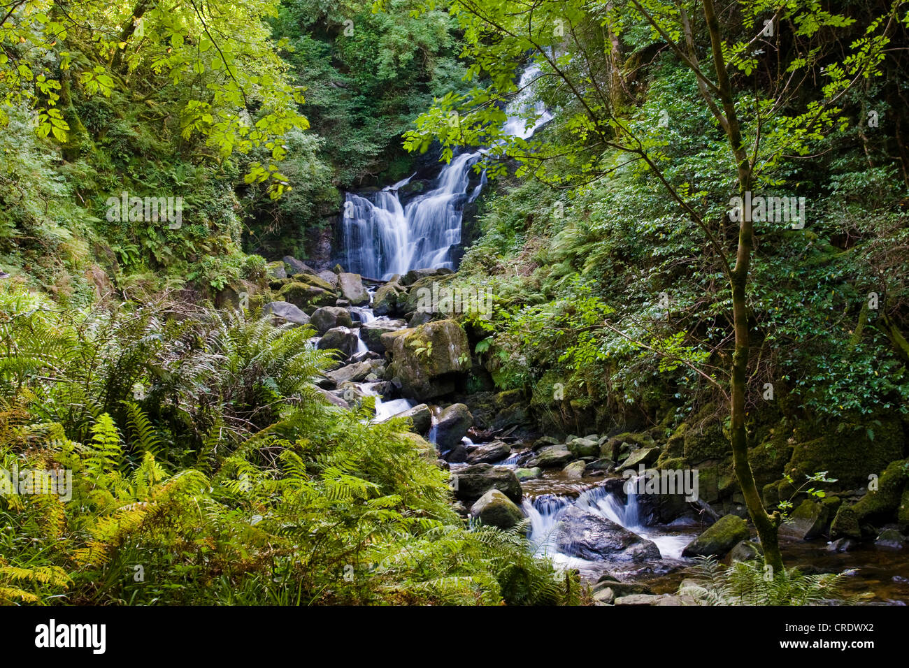 Torc Waterfall, Killarney National Park, Ireland, Kerrysdale, Killarney ...