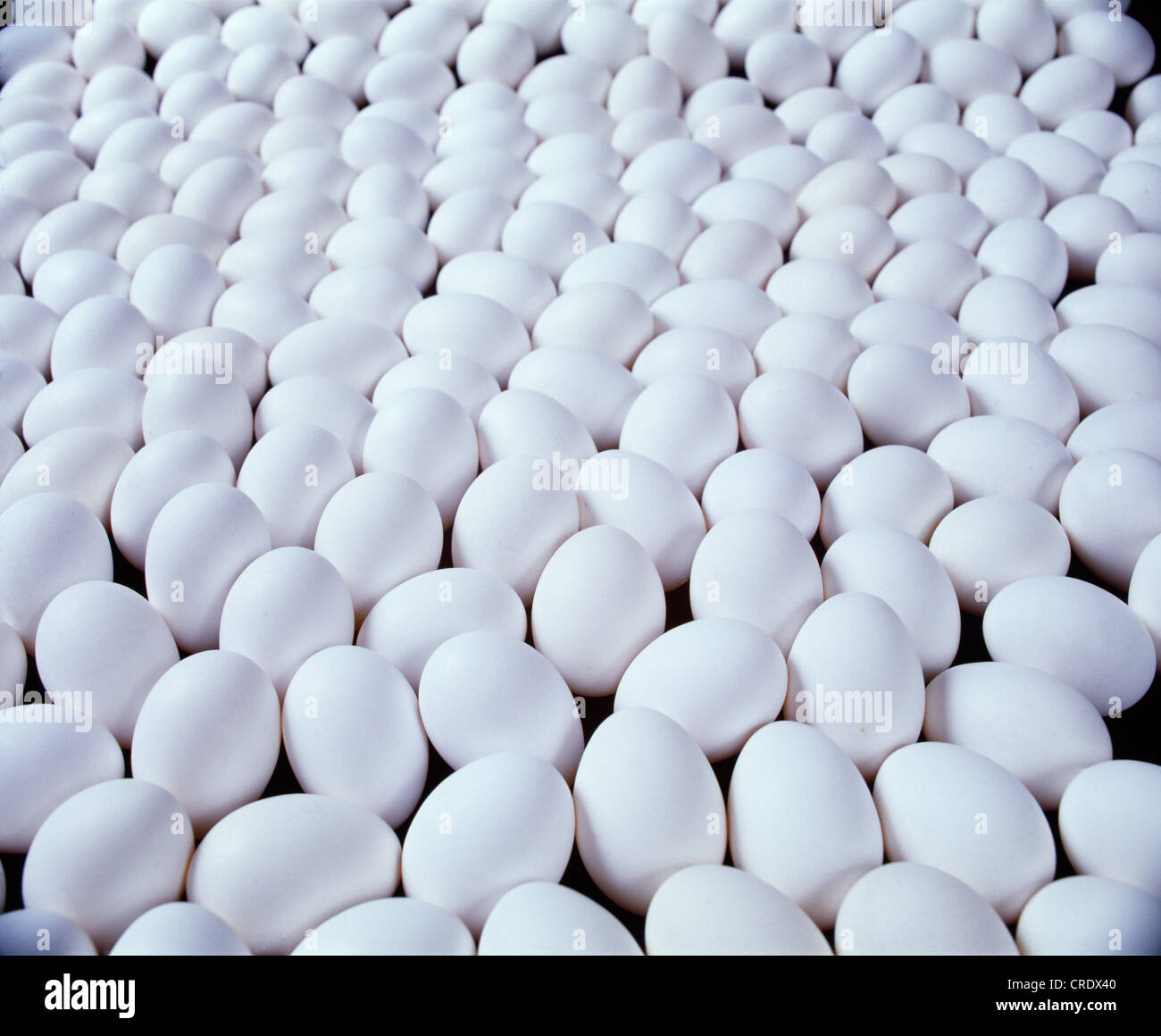 WHITE EGGS / STUDIO Stock Photo - Alamy
