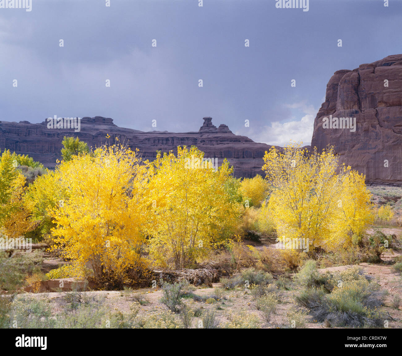 Courthouse wash hi-res stock photography and images - Alamy