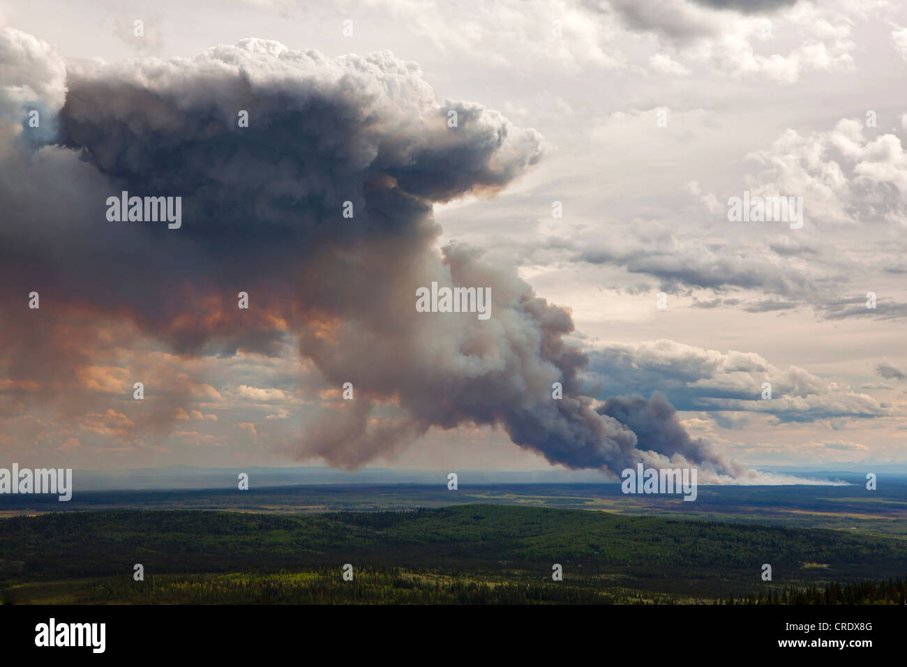 Forest fire following a lightning strike near Fairbanks, Alaska, USA ...