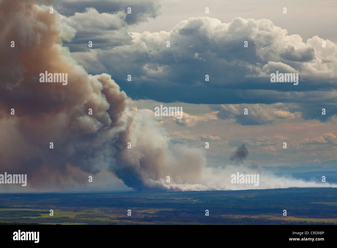 Forest fire following a lightning strike near Fairbanks, Alaska, USA ...