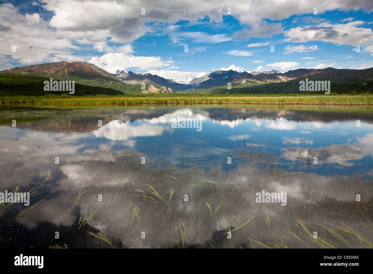 Reflections in a lake on a plateau of the Alaska Range, Alaska, USA ...